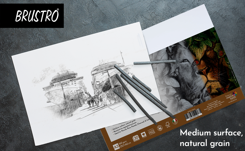 Brustro Artists Drawing Paper 160 GSM A3 Size, Pack of 30 Sheets ...